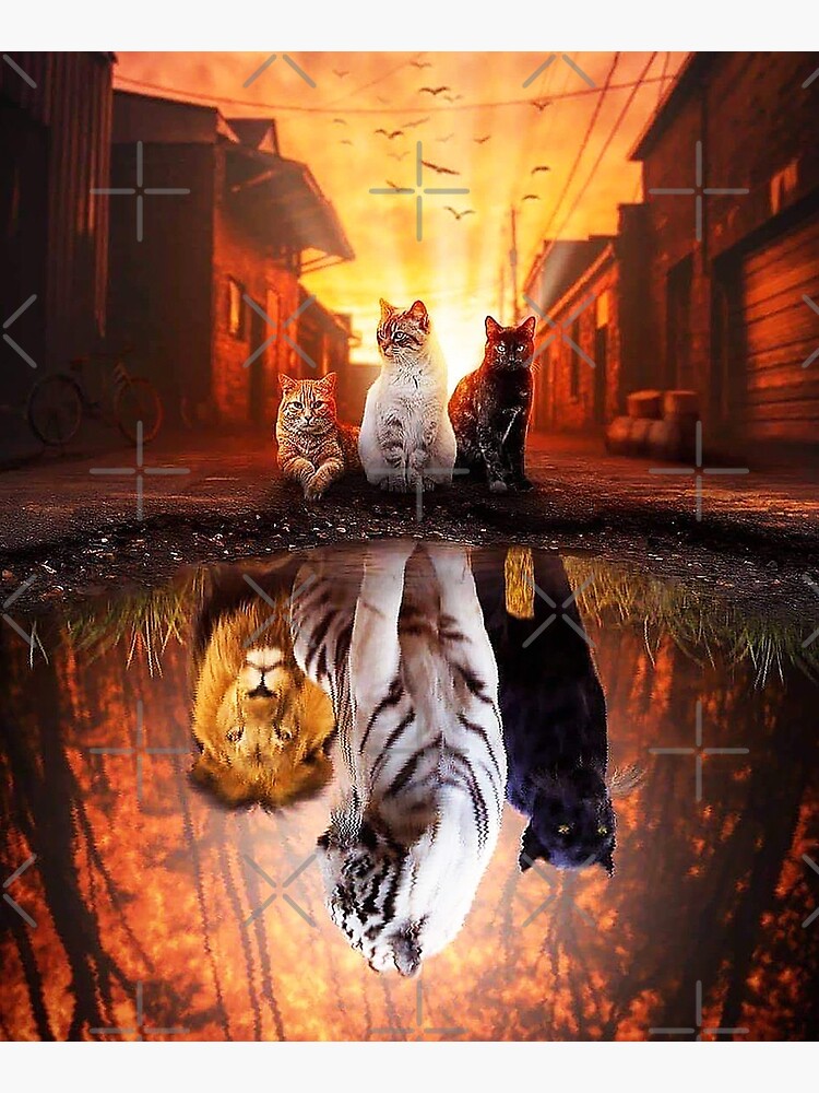 "Cat vs Tiger - Cat is Tiger Reflection" Mounted Print for Sale by ...