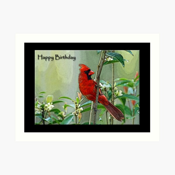 "Happy Birthday Cardinal Card" Art Print for Sale by Miracles | Redbubble