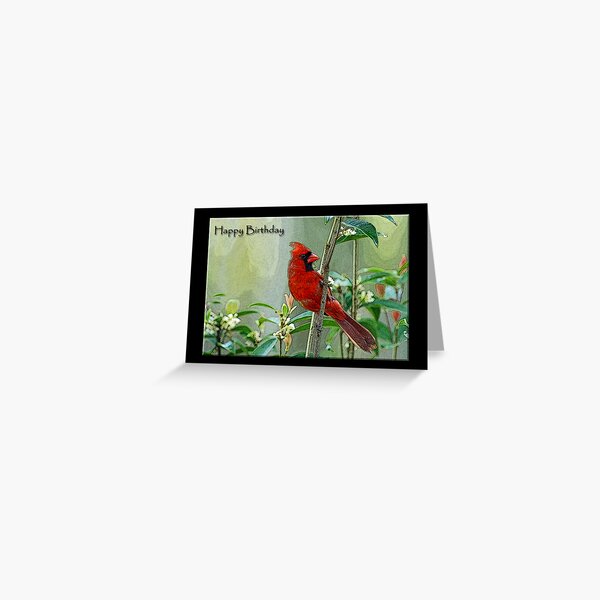 "Happy Birthday Cardinal Card" Greeting Card for Sale by Miracles ...