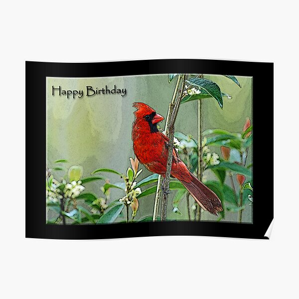 "Happy Birthday Cardinal Card" Poster for Sale by Bonnie T. Barry ...
