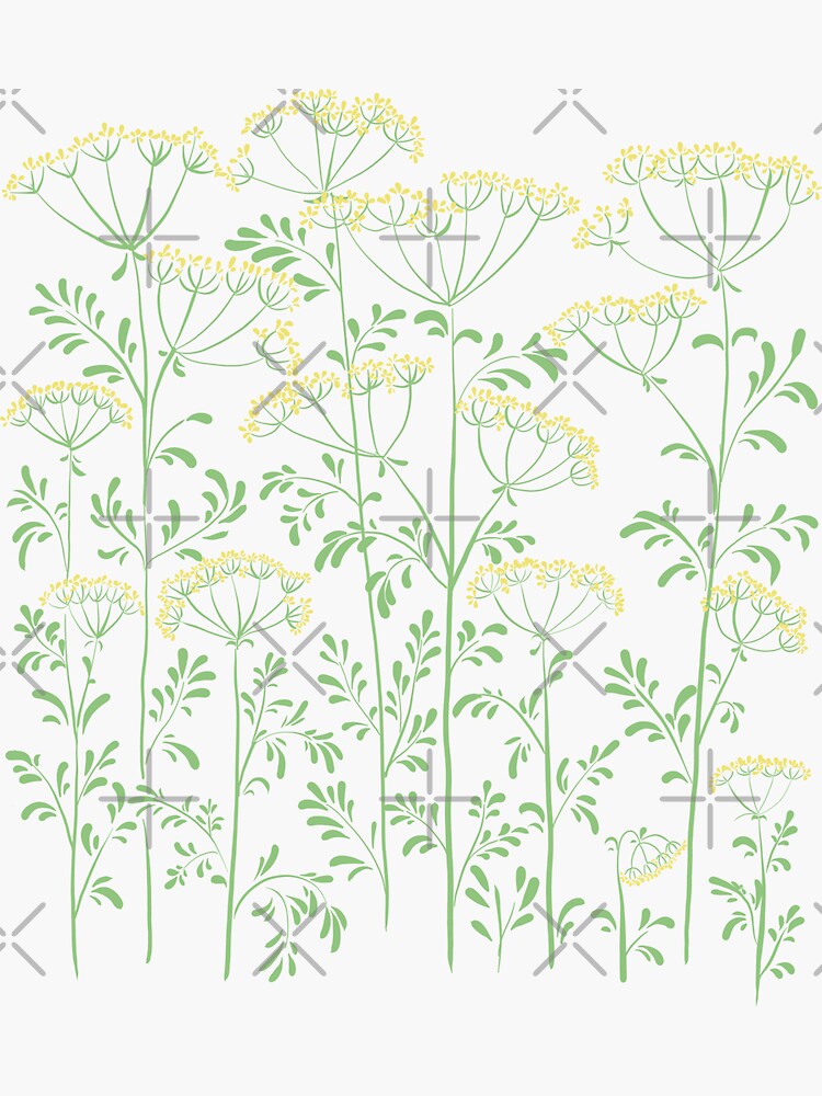 "Dill Ukrop Ukraine Food Ukrainian Vyshyvanka Botanical" Sticker by r ...