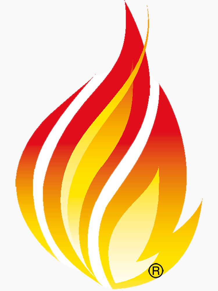 "FHIR Flame ® Logo" Sticker for Sale by clarotechuk | Redbubble