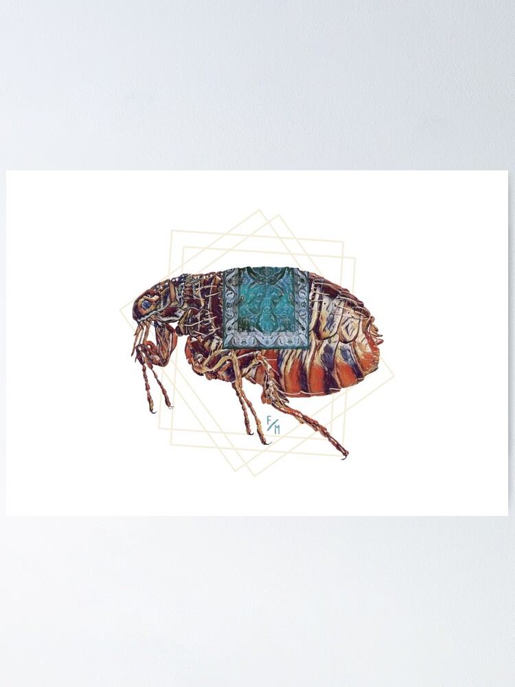 "Elephant Flea" Poster for Sale by Framed4Murder | Redbubble