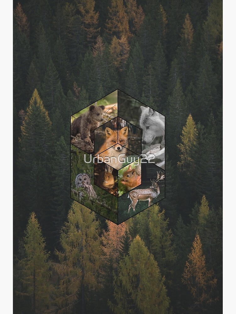 "Forest Animals " Poster for Sale by UrbanGuy22 | Redbubble