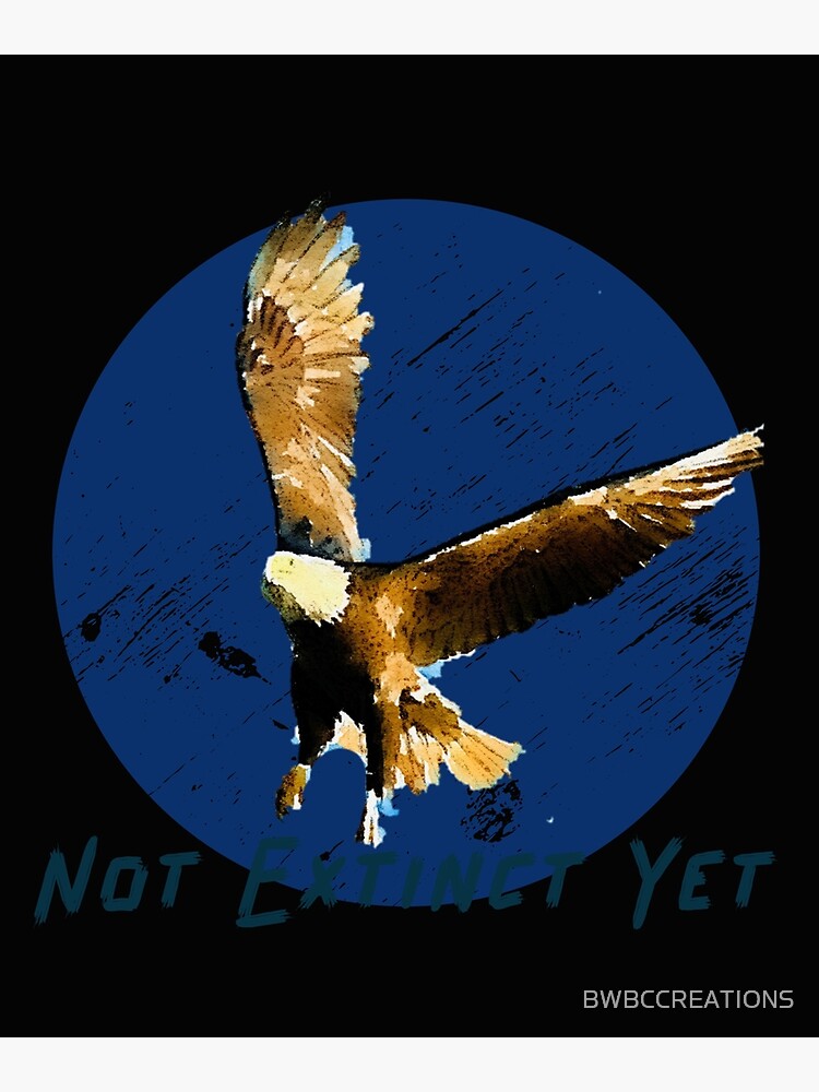 "The Bald Eagle - Not extinct Yet ! " Poster for Sale by BWBCCREATIONS ...