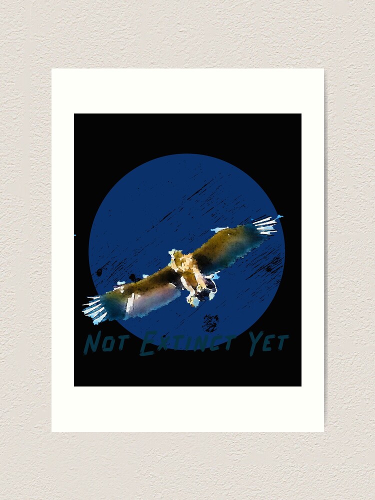 "The Bald Eagle - Not extinct Yet ! " Art Print for Sale by ...