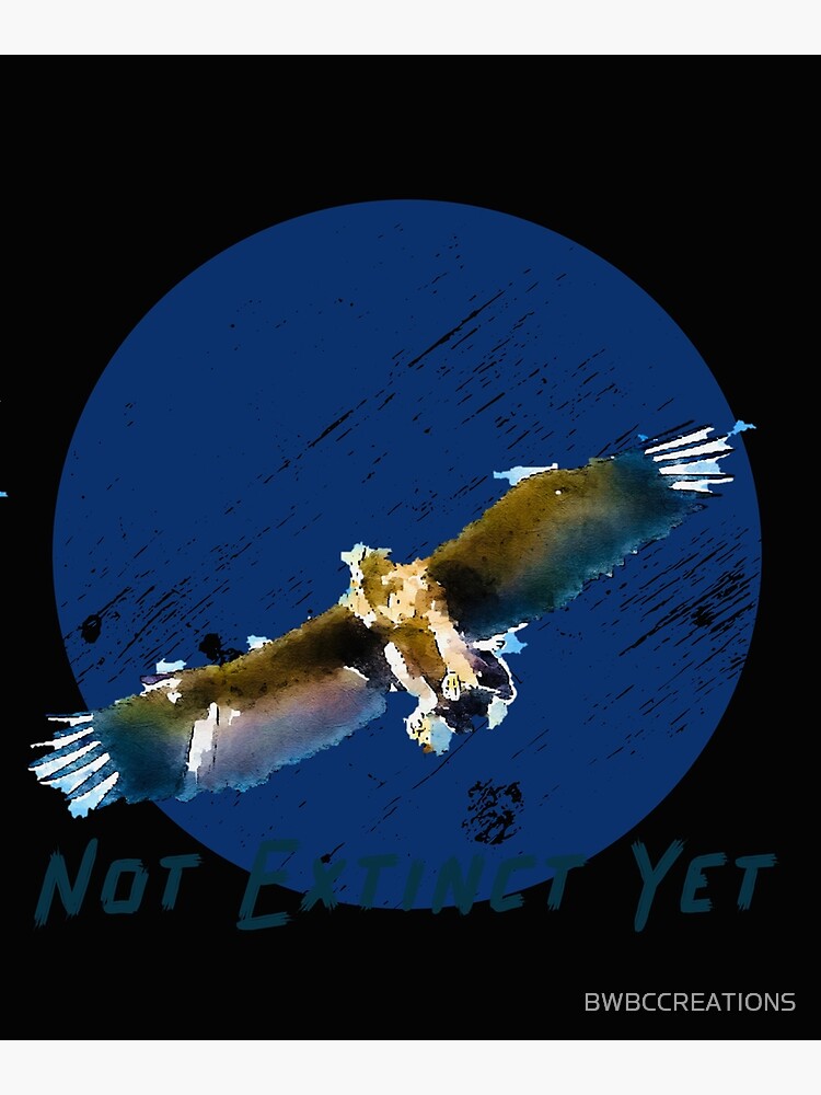 "The Bald Eagle - Not extinct Yet ! " Art Print for Sale by ...