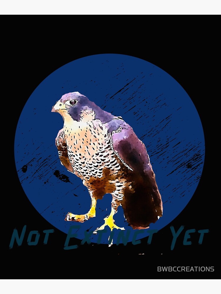 "The Falcon Eagle - Not extinct Yet ! " Poster for Sale by ...