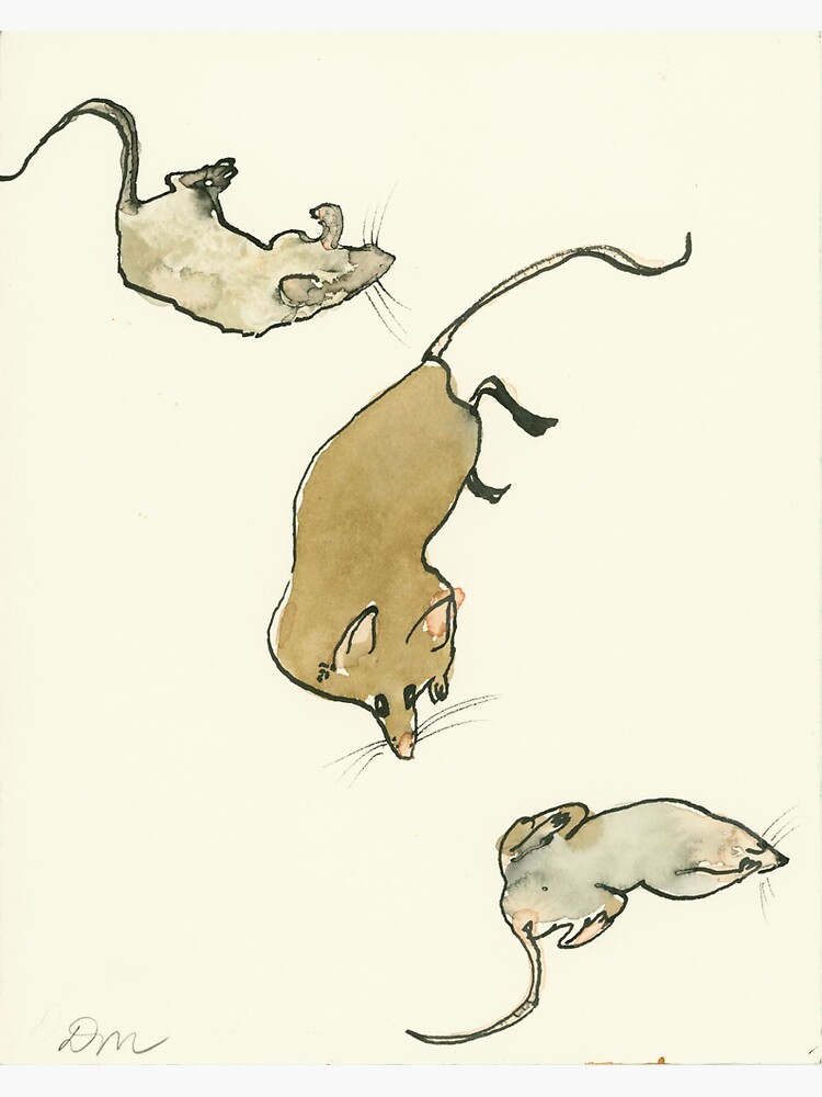 "three poor mice" Sticker by donnamalone | Redbubble