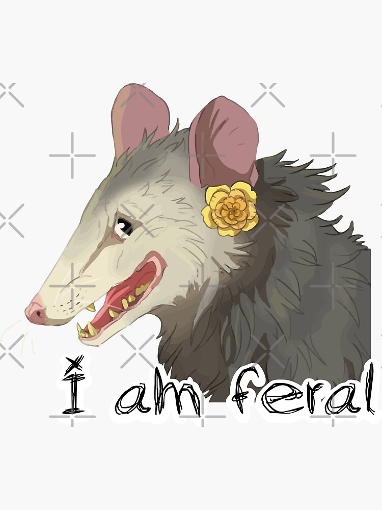 "Possums Girl I am Feral Flower " Sticker by humanrightshirt | Redbubble