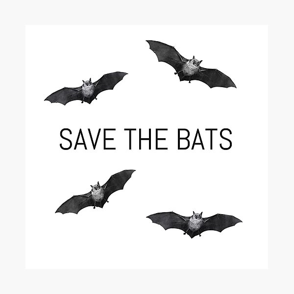 Save The Bats Wall Art | Redbubble