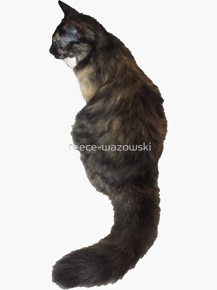 "majestic catto floof" Sticker by reece-wazowski | Redbubble
