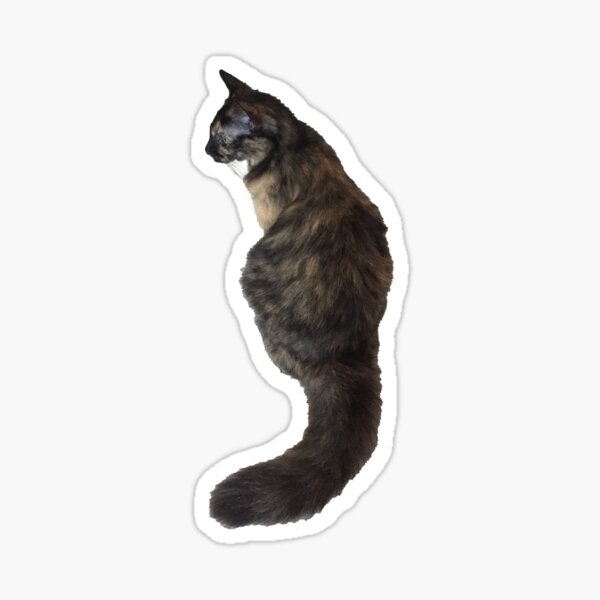 "majestic catto floof" Sticker by reece-wazowski | Redbubble