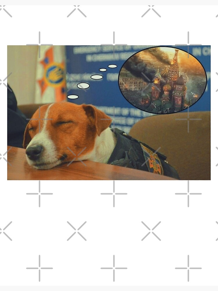 "Ukraine's Patron dog sticker & Tee | Ukraine Dog Patron meme | Ukraine ...