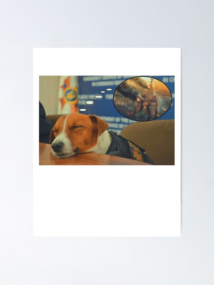 "Ukraine's Patron dog sticker & Tee | Ukraine Dog Patron meme | Ukraine ...