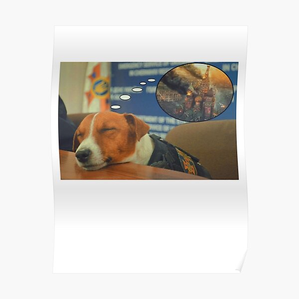 "Ukraine's Patron dog sticker & Tee | Ukraine Dog Patron meme | Ukraine ...