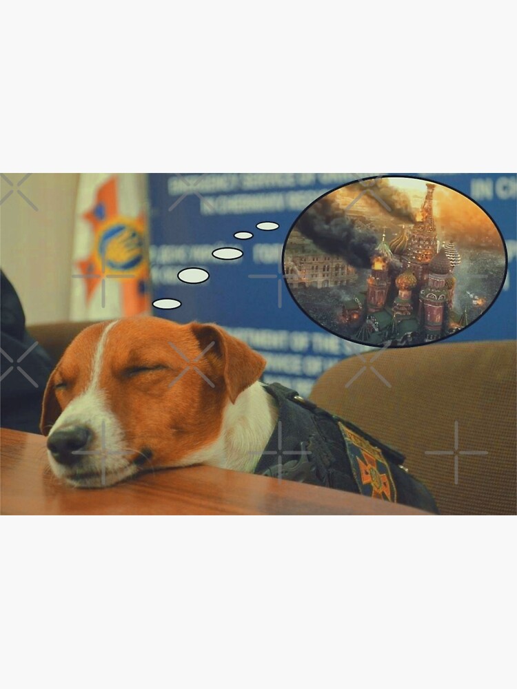 "Ukraine's Patron Hundeaufkleber & T-Shirt | Ukraine Dog Patron Meme ...