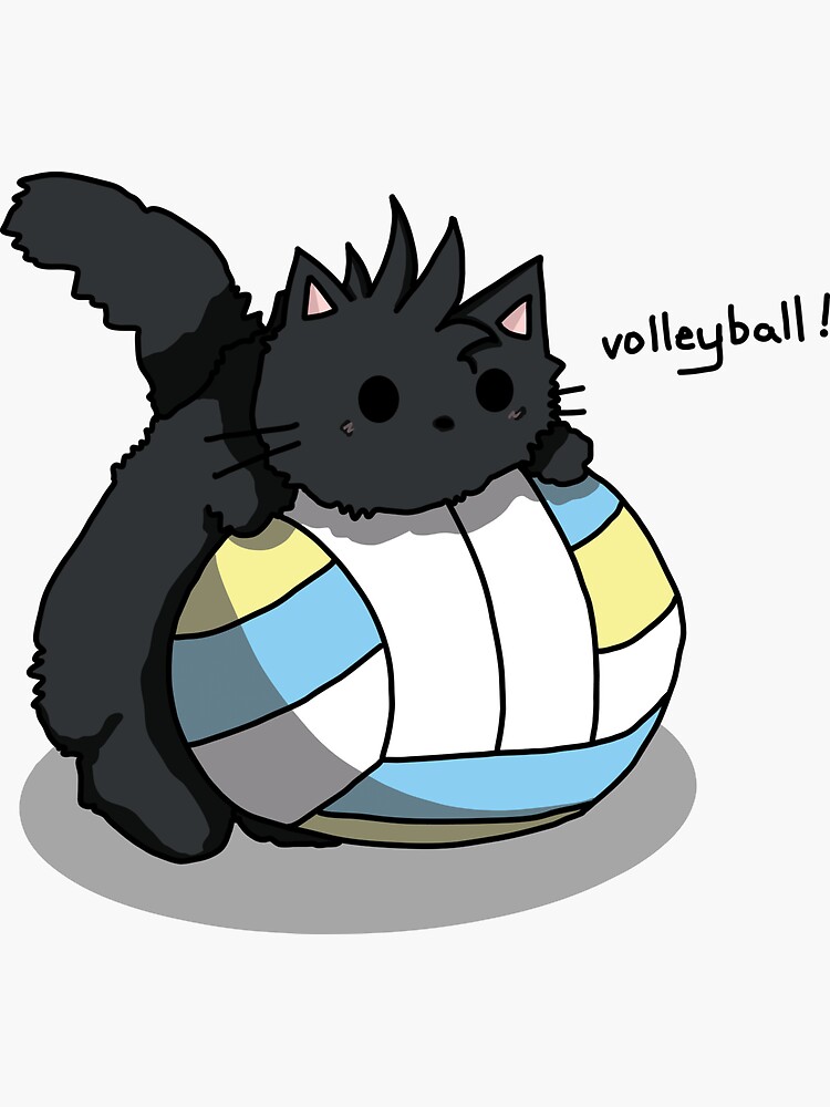 "Volleyball Cat" Sticker for Sale by STUDIO-72 | Redbubble