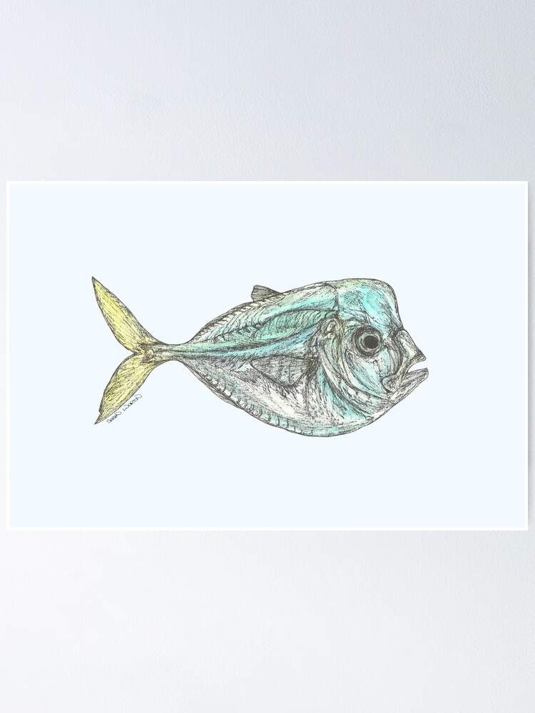 "Atlantic Moonfish" Poster for Sale by SerenSketches | Redbubble