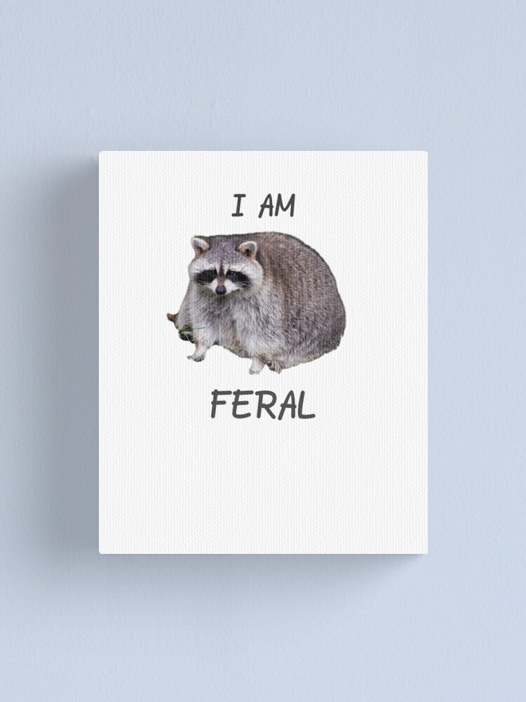 Feral Memes Return Of The Meme: 1122 (feral Fourties) Meme Post