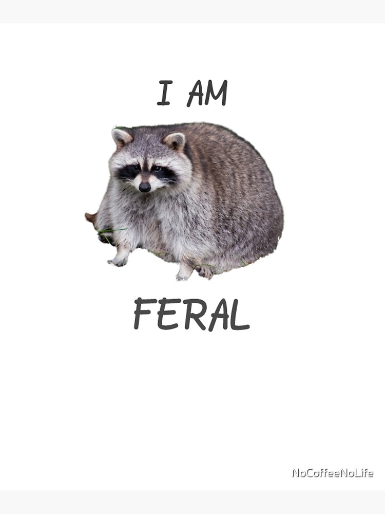 Feral Memes Return Of The Meme: 1122 (feral Fourties) Meme Post