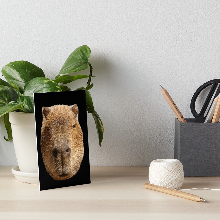 "Capybara face" Art Board Print by Dalyn | Redbubble