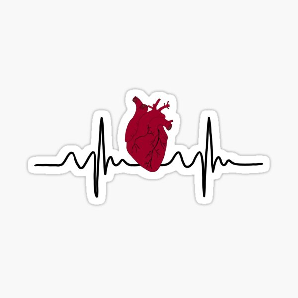 "anatomy heart" Sticker for Sale by carries-anatomy | Redbubble