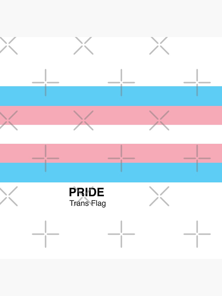 "Pantone Transgender Pride Flag" Pin by CrownMaru | Redbubble