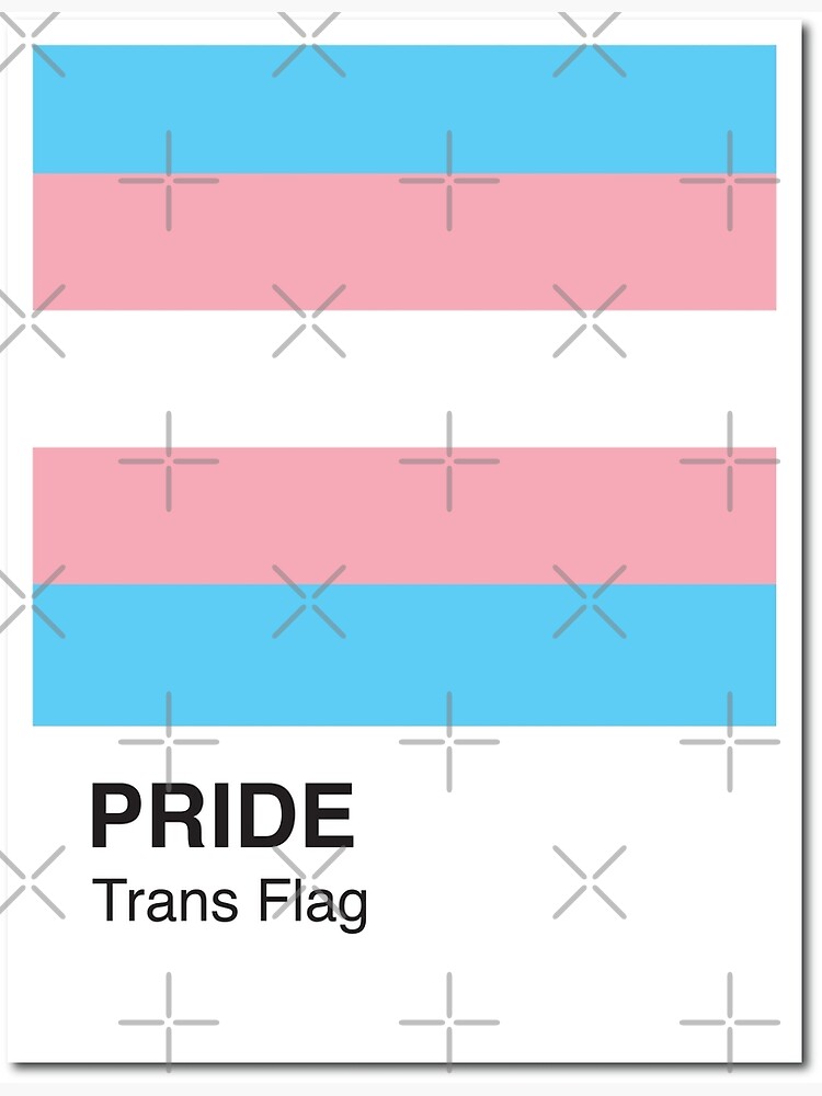 "Pantone Transgender Pride Flag" Poster for Sale by CrownMaru | Redbubble