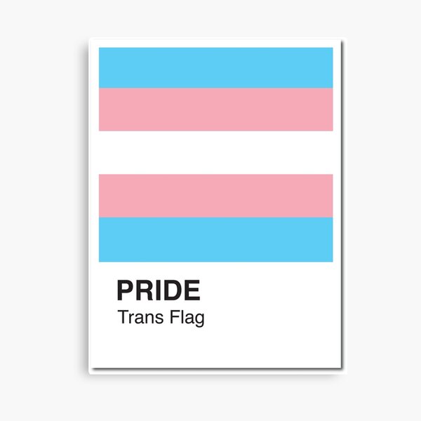 "Pantone Transgender Pride Flag" Canvas Print for Sale by CrownMaru ...