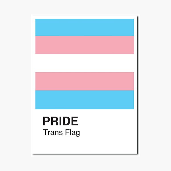 "Pantone Transgender Pride Flag" Photographic Print for Sale by ...