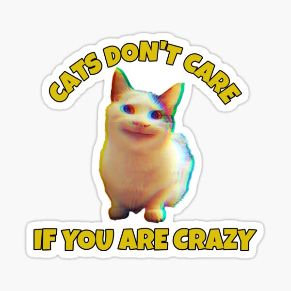 "Cats don't care if you are crazy, cat meme, ORIGINAL Willow Days ...