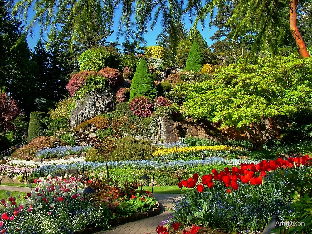 "BUTCHART Gardens in Spring," by AnnDixon | Redbubble