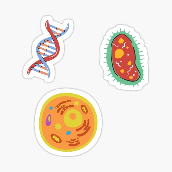 "Biology pack" Sticker for Sale by kozetin | Redbubble