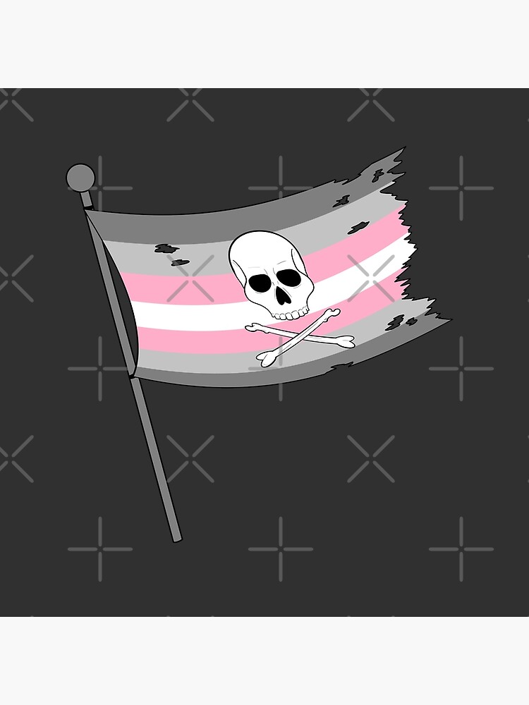 Pirate Pride Flag Demigirl Poster For Sale By Panicdote Redbubble
