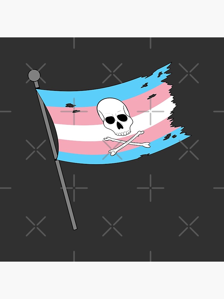 "Pirate Pride Flag - Transgender" Poster for Sale by Panicdote | Redbubble