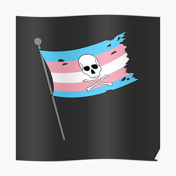 "Pirate Pride Flag - Transgender" Poster for Sale by Panicdote | Redbubble