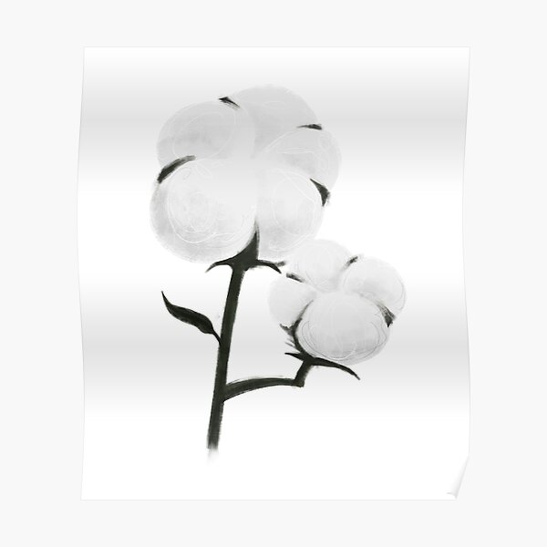 "Cotton Flower" Poster for Sale by freyrr | Redbubble