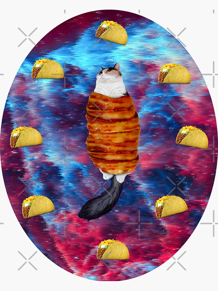 "Cat Bacon and Taco Space" Sticker for Sale by Lostanaw | Redbubble