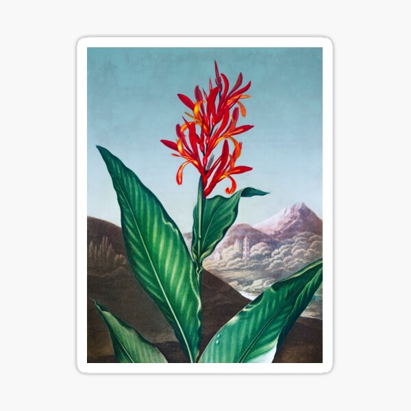 "Antique Indian Reed " Sticker for Sale by jadeandjester | Redbubble