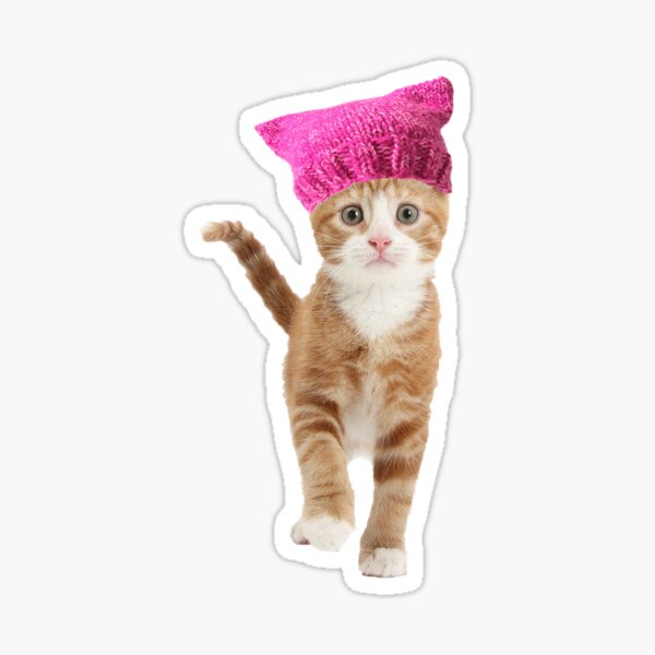 "Resistance Kitty" Sticker by Thelittlelord | Redbubble