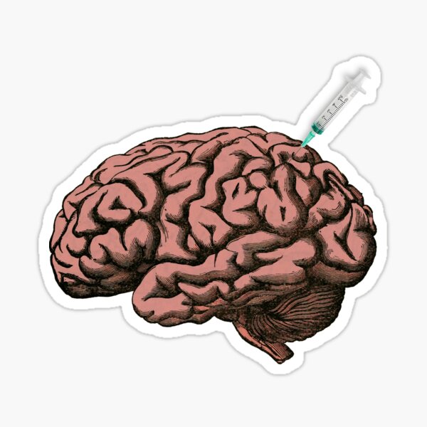 "Brain Rot " Sticker for Sale by FreedomFvckers | Redbubble