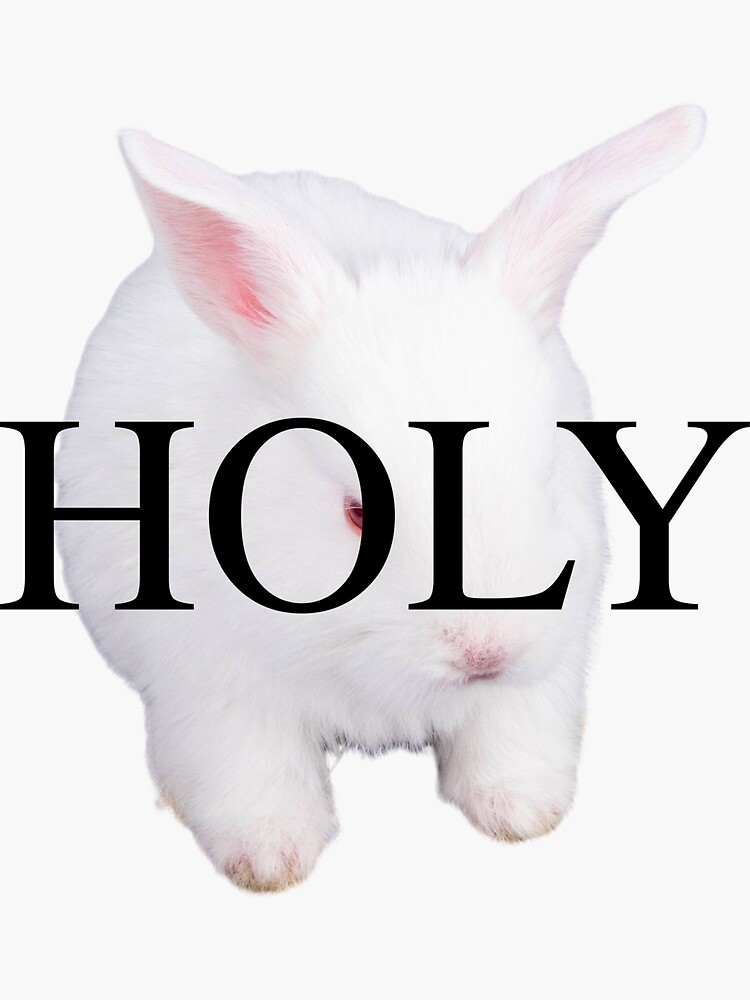 "HOLY BUNNY" Sticker by cyberangel111 | Redbubble