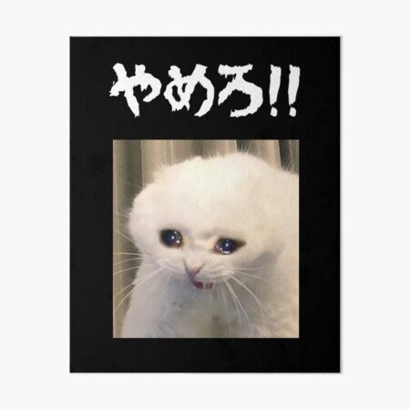 "YAMERO Crying White Cat Meme Japanese Hiragana Text" Art Board Print ...