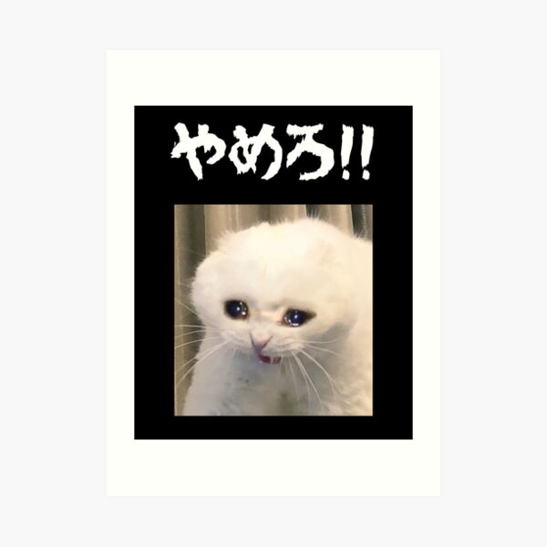 "YAMERO Crying White Cat Meme Japanese Hiragana Text" Art Print for ...