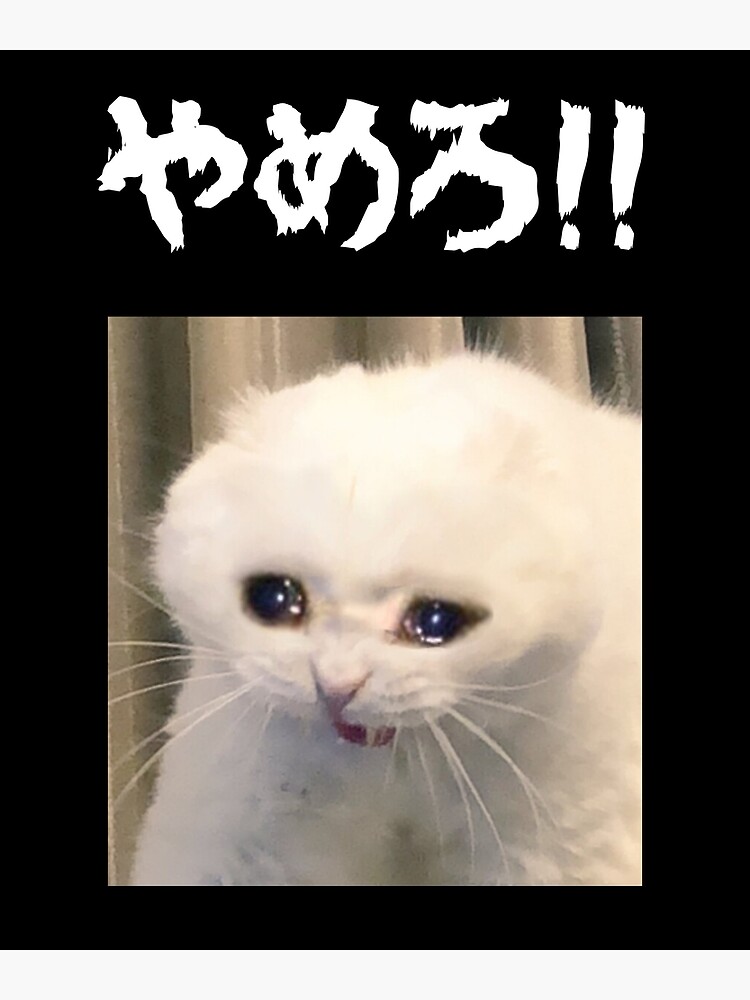 "YAMERO Crying White Cat Meme japanischer Hiragana-Text" Poster von ...