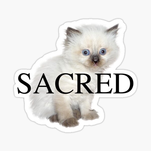 "SACRED KITTEN" Sticker by cyberangel111 | Redbubble