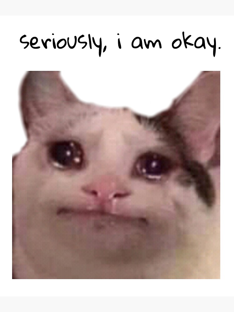 "seriously i am okay cat" Poster for Sale by faememez | Redbubble