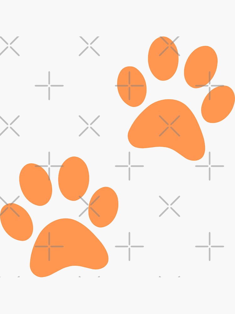 "Solid Light Orange Color" Sticker for Sale by Petgifts | Redbubble