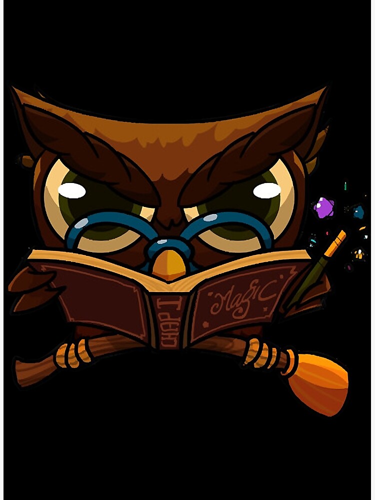 "Master Magic Owl " Poster for Sale by KimberlyW92199 | Redbubble